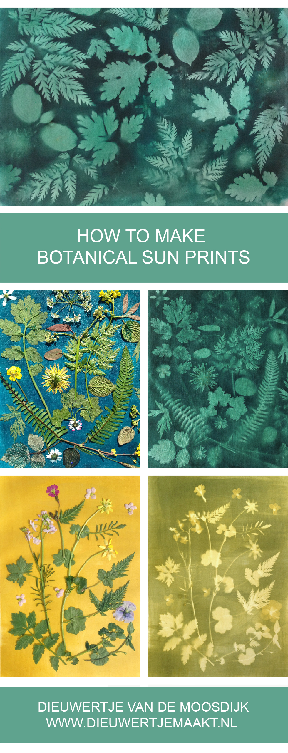 Tutorial Sun Prints